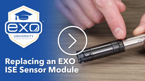 Ammonium ISE Sensor Training for EXO Water Quality Sonde